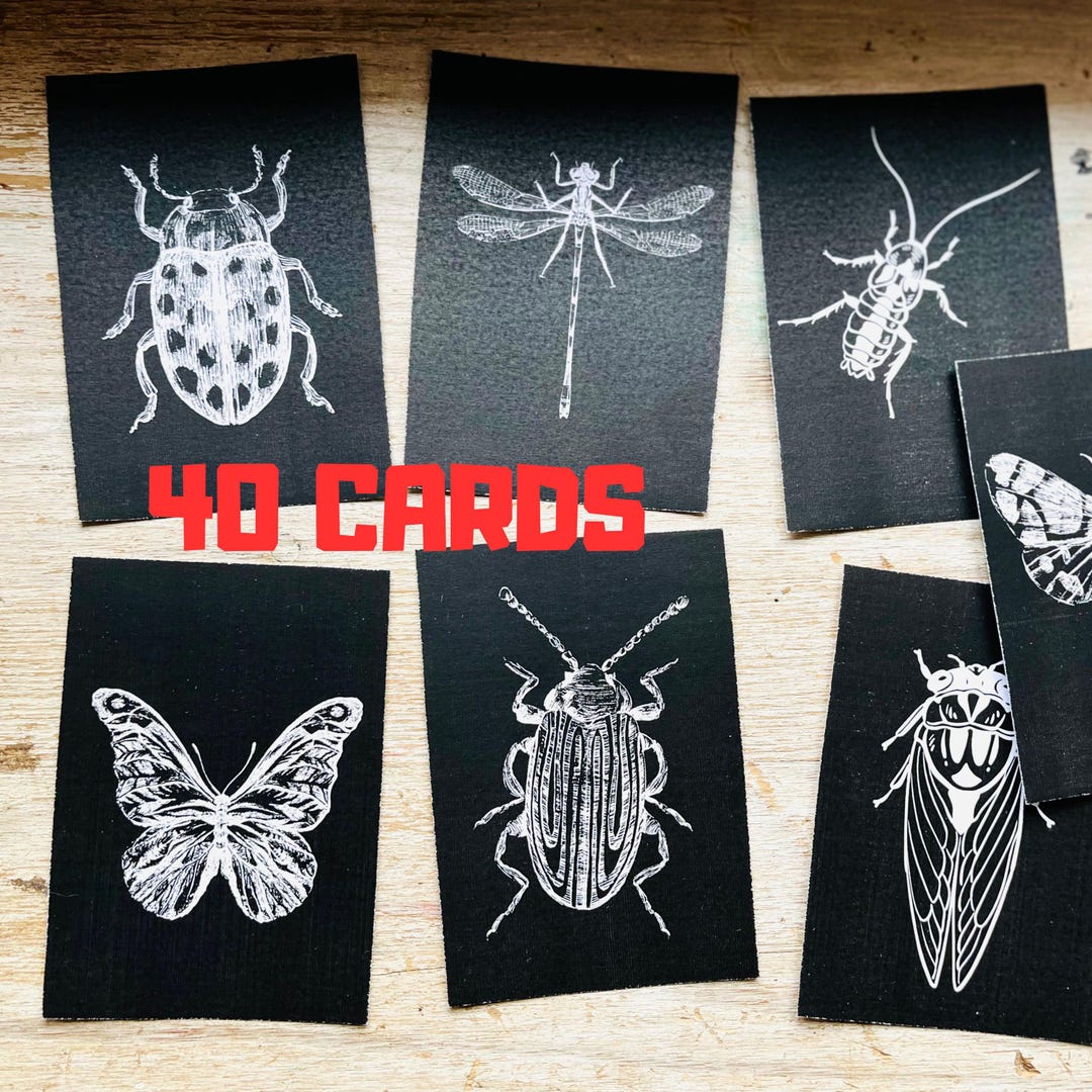 40 Insects Black and White Flashcards Instant Download Montessori ...