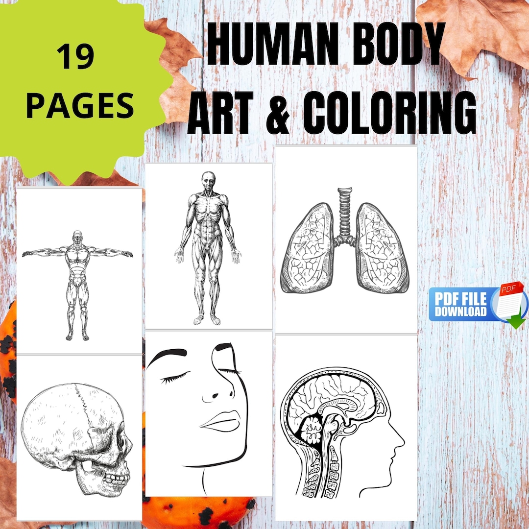Human Body Art and Coloring Pages Human Body Study Unit Coloring Pages ...