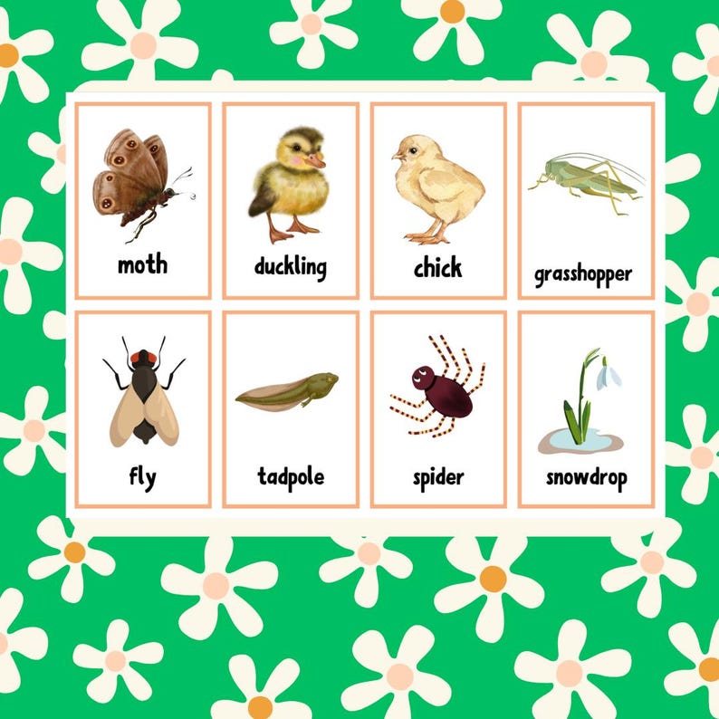 Spring Vocabulary Flashcards, English Learning Cards (PDF) - Etsy