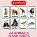 Animals Flashcards for Kids, Animal Vocabulary Cards, Montessori ...