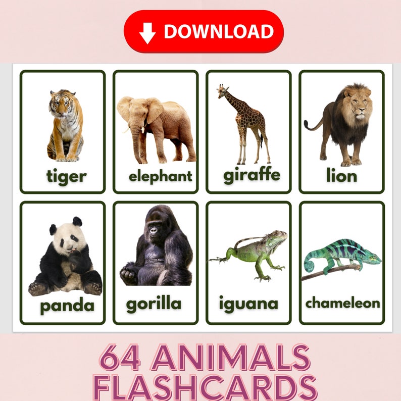 Animals Flashcards for Kids, Animal Vocabulary Cards, Montessori ...