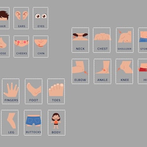 24 Body Parts Flashcards for Kids English Body Parts Body Parts Cards ...