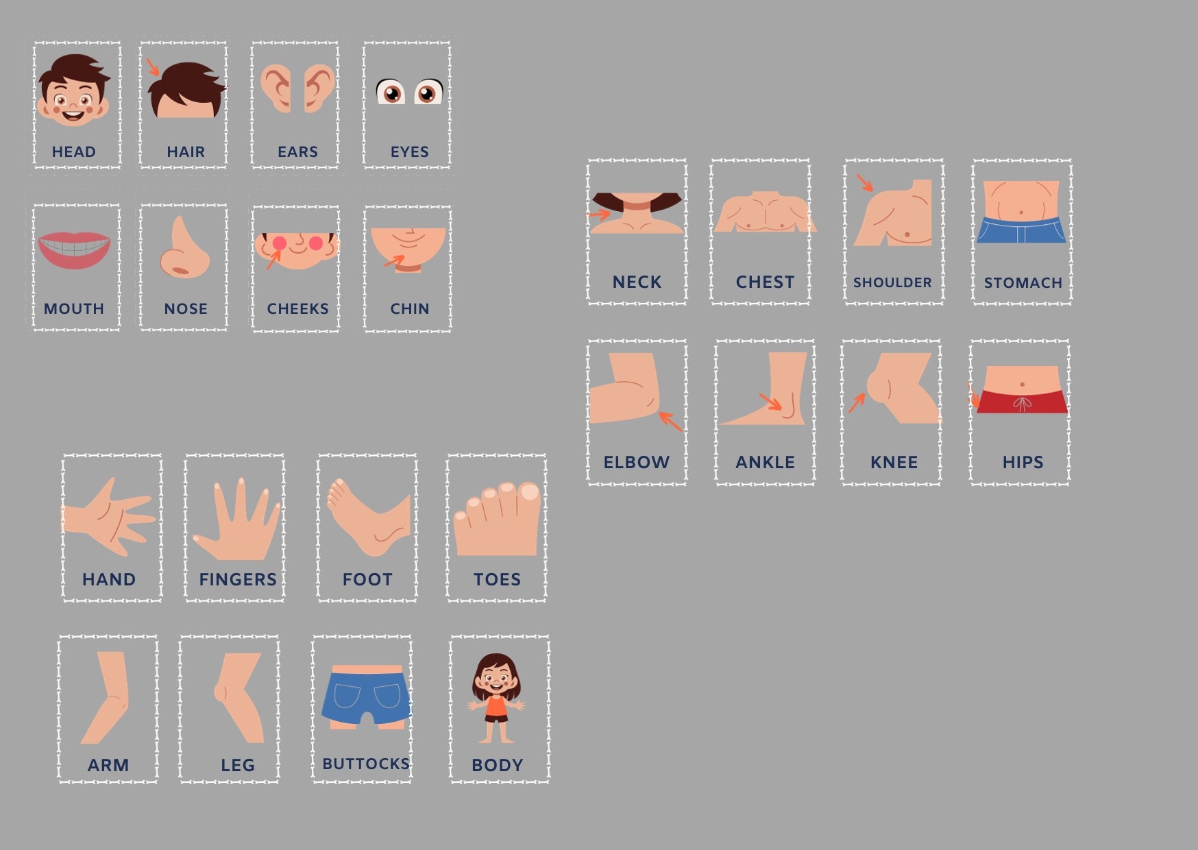 Body Parts Flashcards for Kids | ESL Vocabulary (PDF/PNG). - Etsy