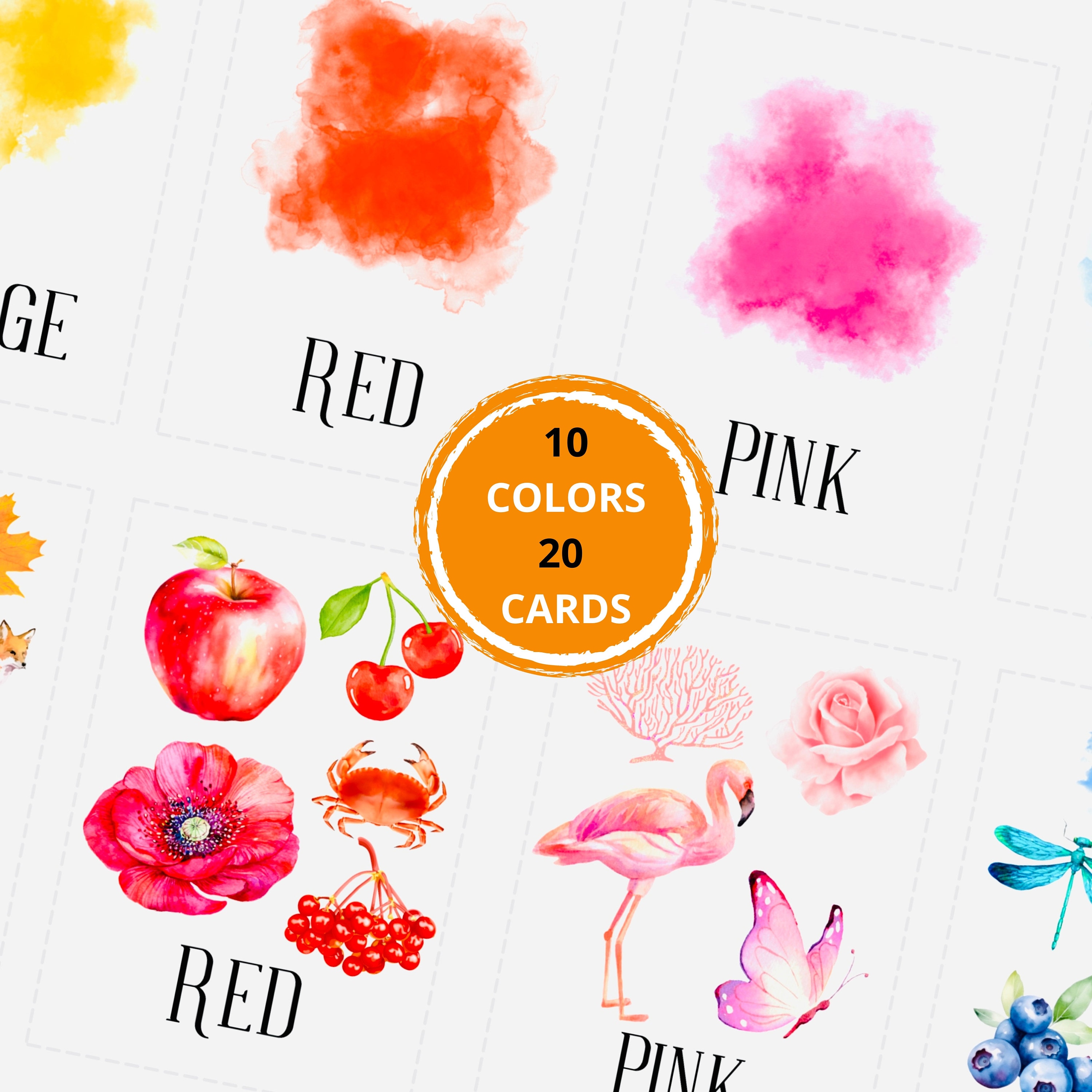 Colors in Nature Flash Cards for Kids, Montessori English PDF Teaching ...