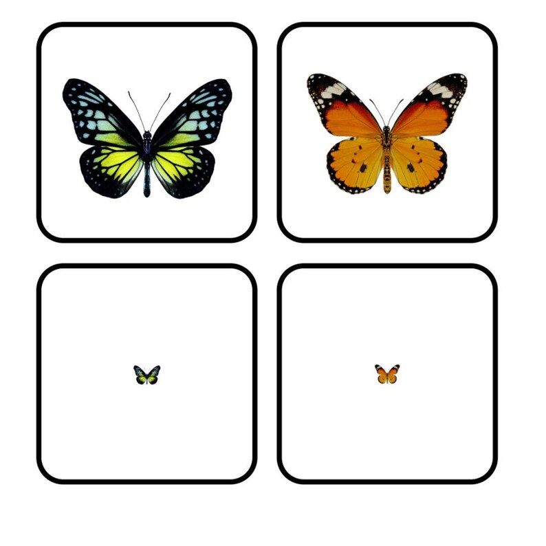 Butterfly Magnifying Matching Game, Montessori Zoology, Magnifying ...