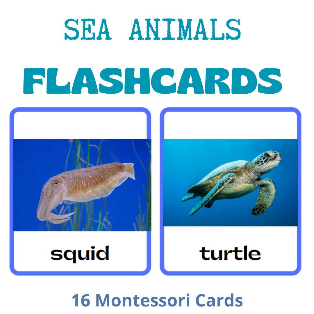 Sea Animals Flashcards With Real Photos Sea Animals Cards Sea Life ...