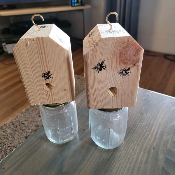 Carpenter Bee Trap - Etsy
