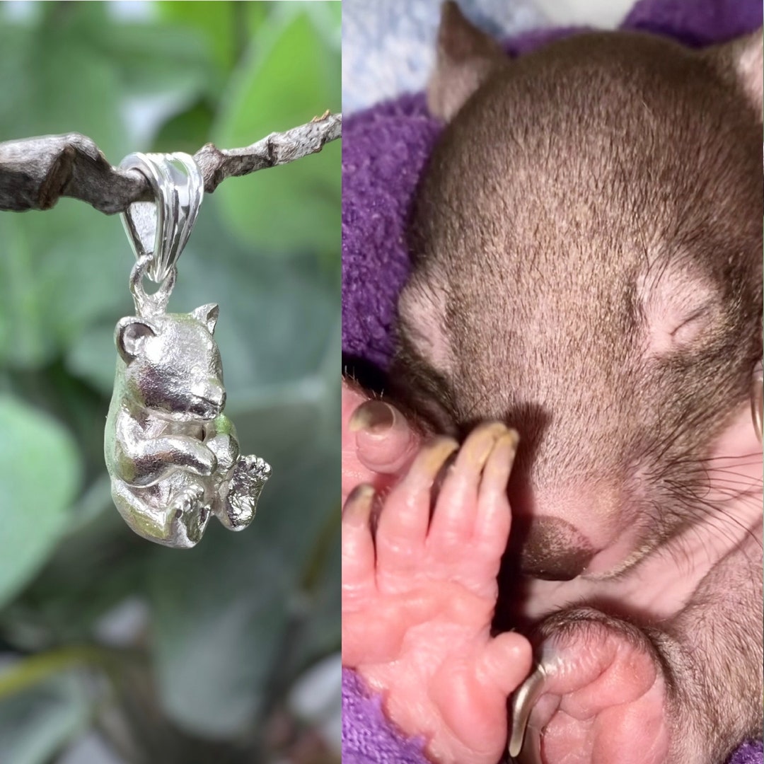 Silver Wombat Pendant / Australian Animal / Perfect Australian - Etsy