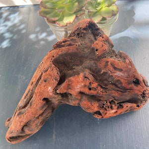 California Beach Driftwood - Etsy