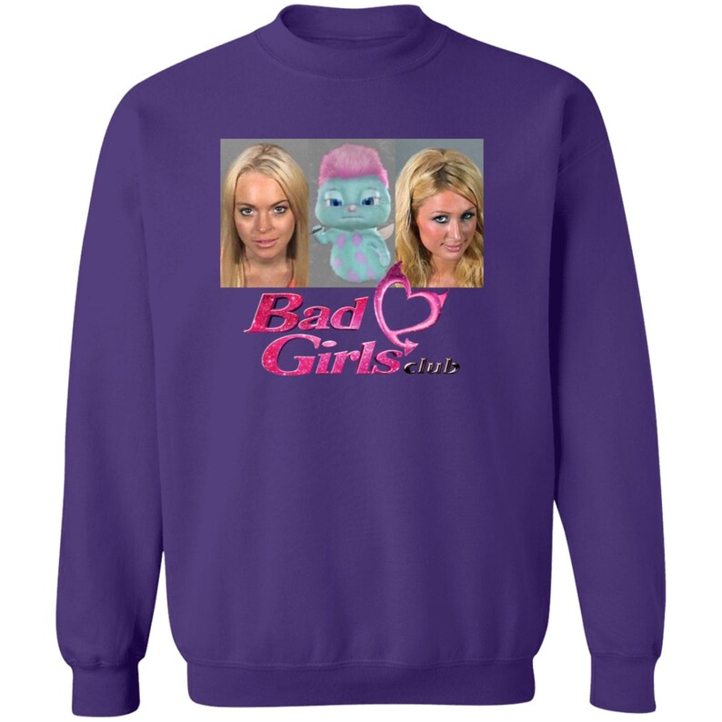 Bibble Sweatshirt Bibble Shirt Bibble Meme Bibbletopia Fairytopia ...