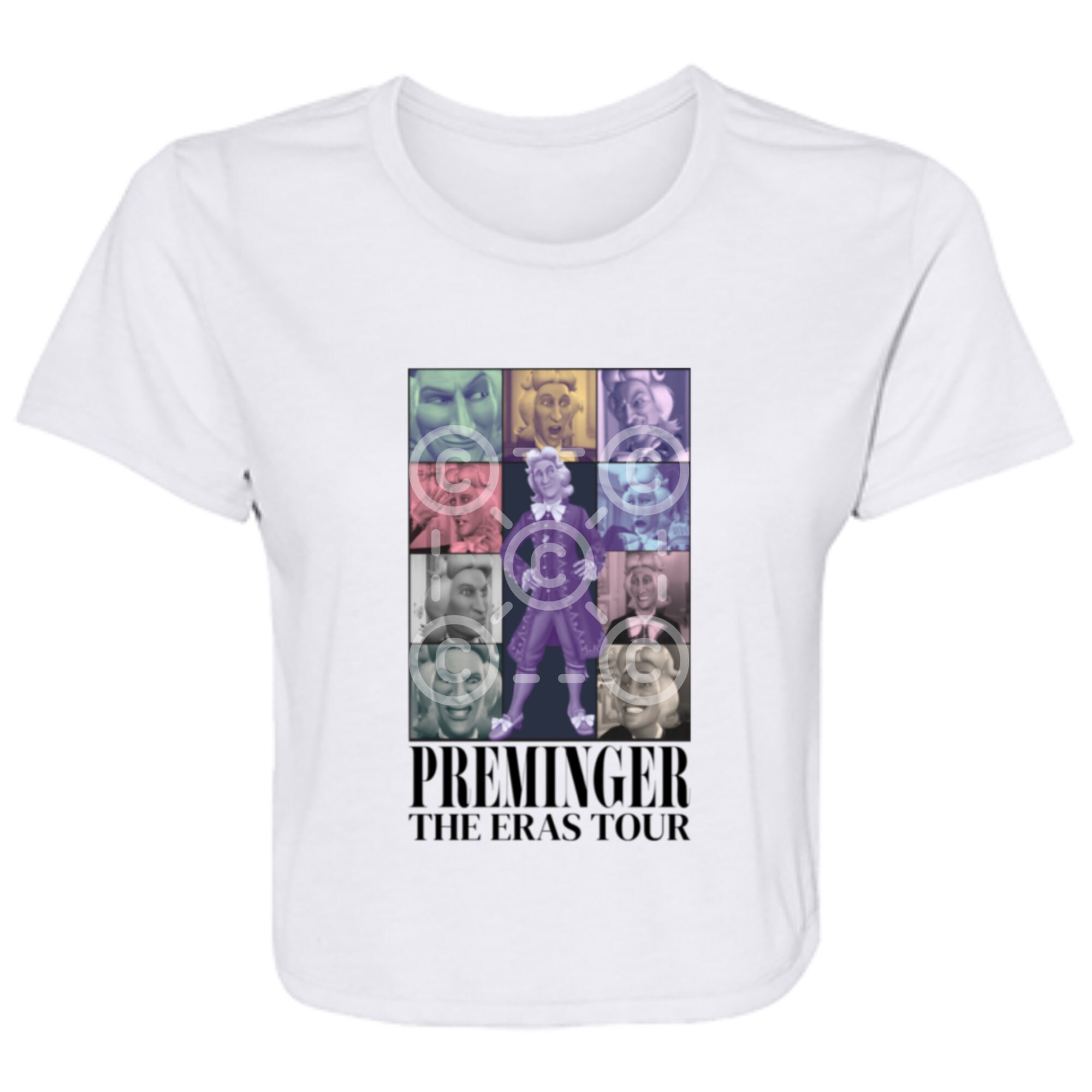 Preminger Eras Tour Modest Cropped Tee Preminger Shirt the Princess and ...