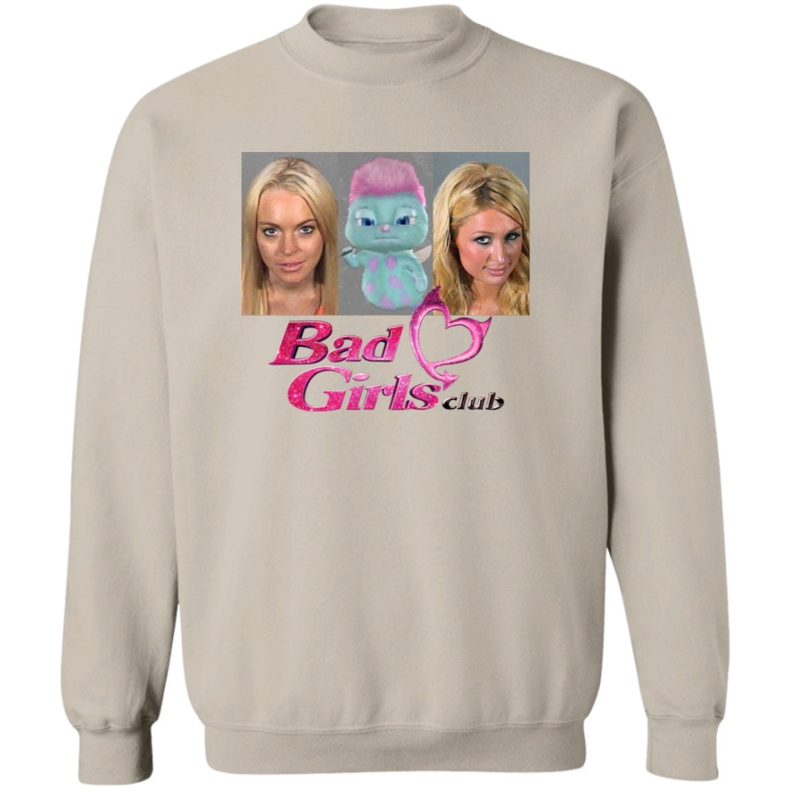 Bibble Sweatshirt Bibble Shirt Bibble Meme Bibbletopia Fairytopia ...