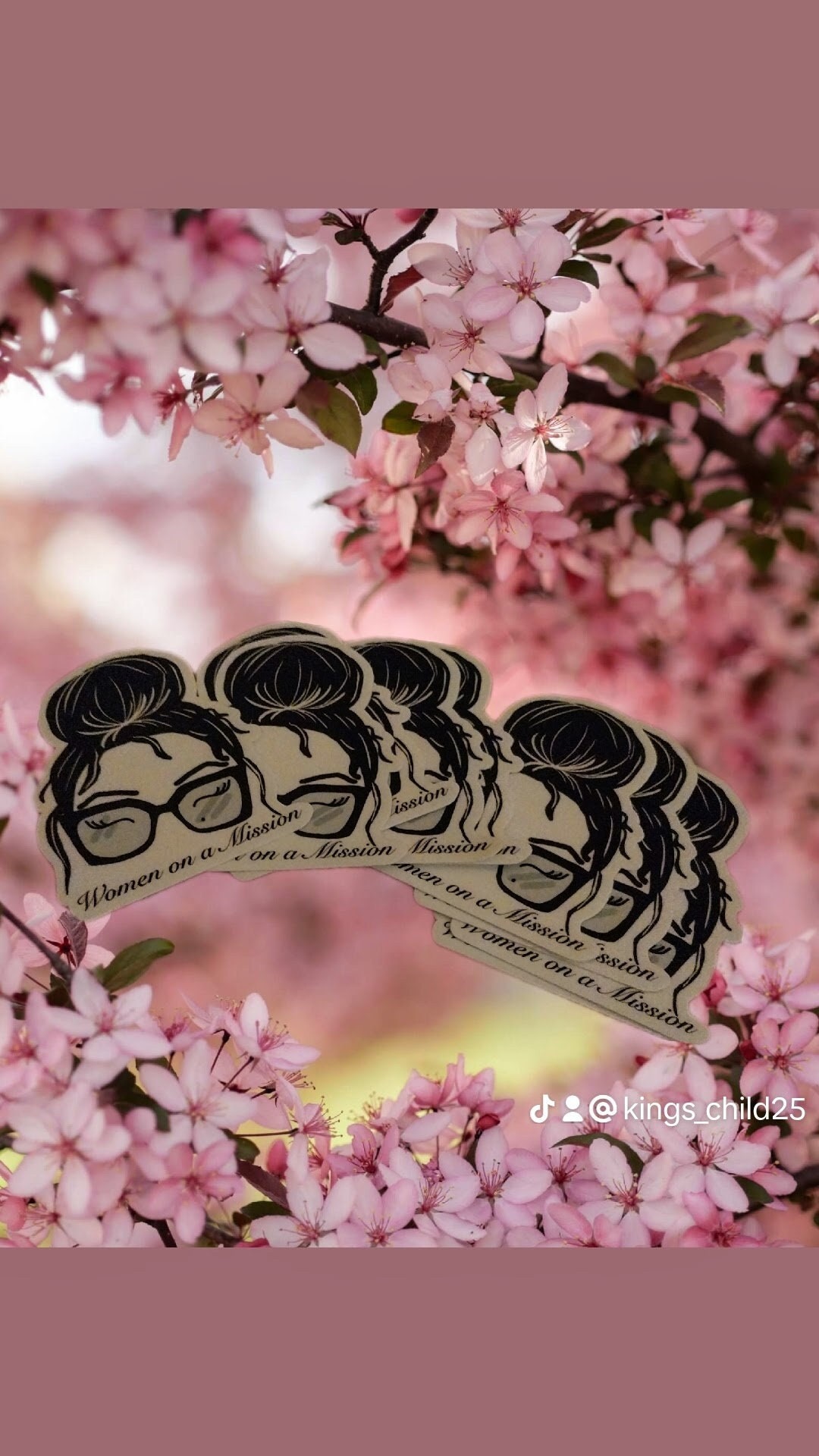 Women on a Mission: Boss Lady Stickers - Etsy