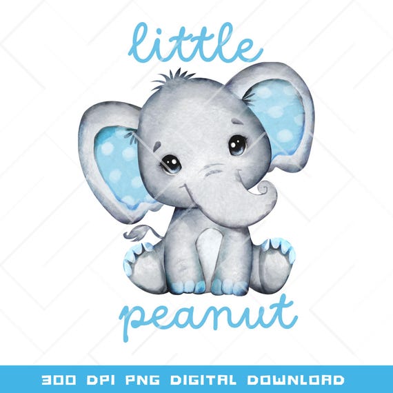 Baby Elephant Png Images Baby Elephant PNGs For Free Download