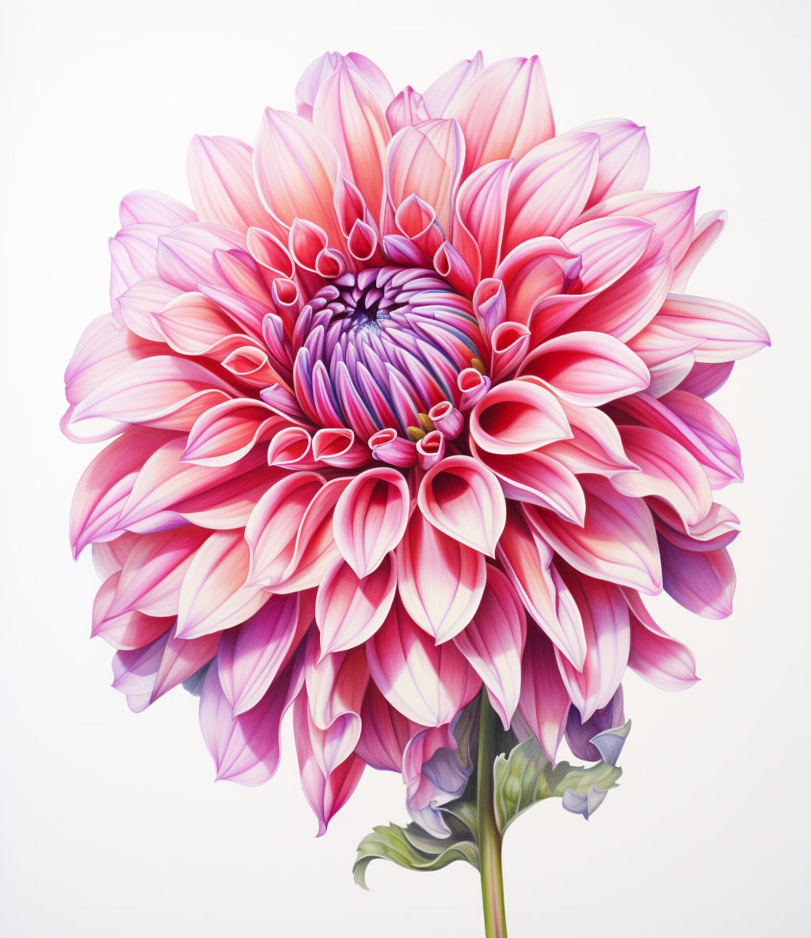 Printable Flower Coloring Pages, Floral Coloring Page, Printable ...