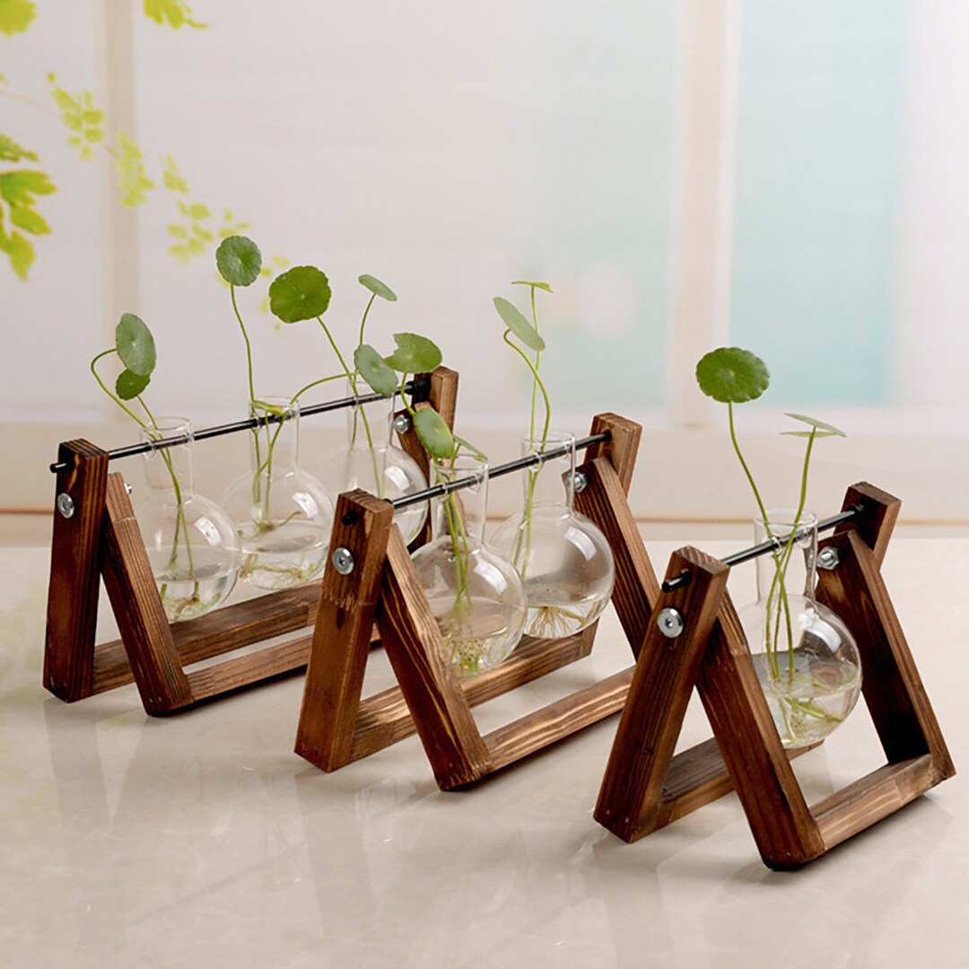 Hydroponics Plant Terrarium Kit With Glass Vase Wooden Stand - Etsy