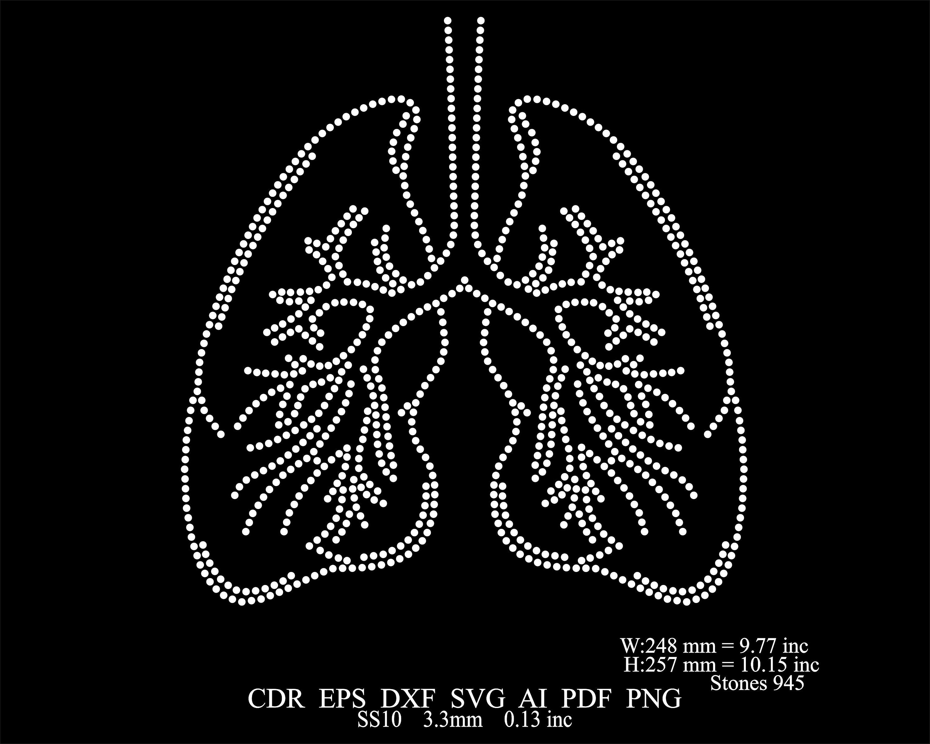 Rhinestone Lung Template Rhinestone Human Organ Template Rhinestone Svg ...