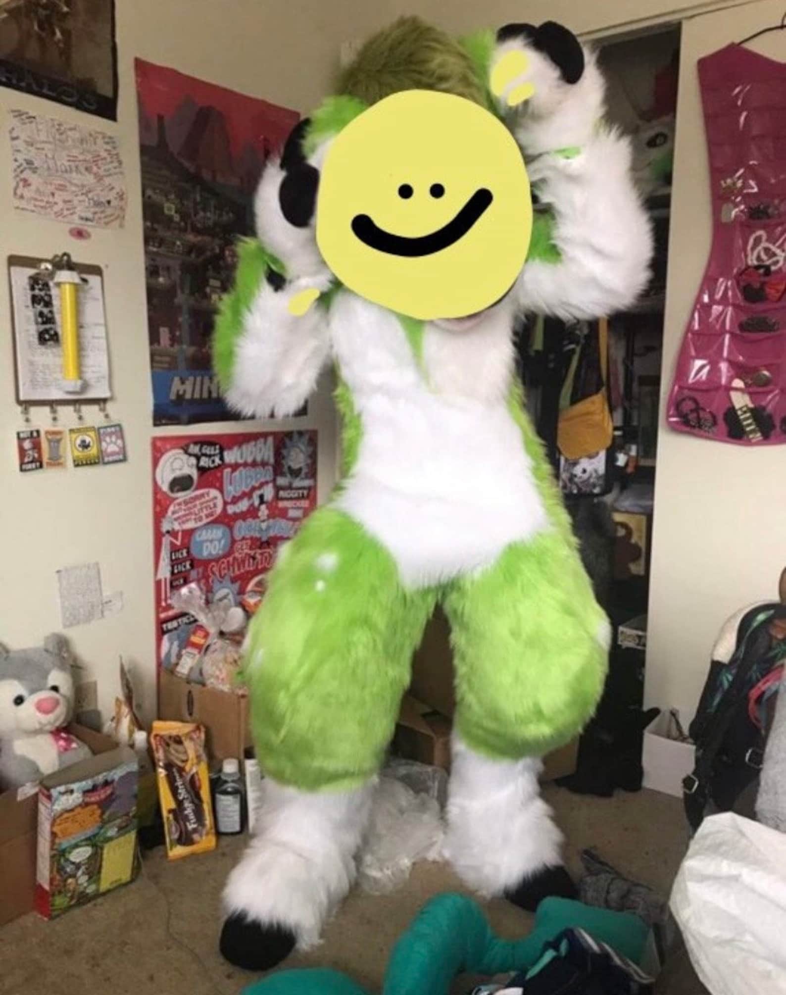 Custom Fursuit Bodysuit - Etsy