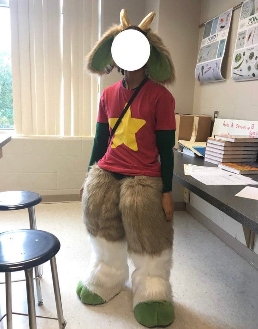 Custom Fursuit Bodysuit - Etsy