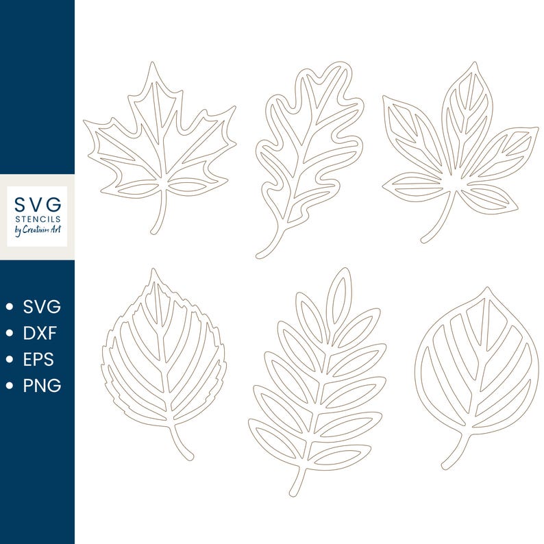 Fall Leaves SVG Bundle, Autumn Leaf Cut Files, Botanical Line Art for ...