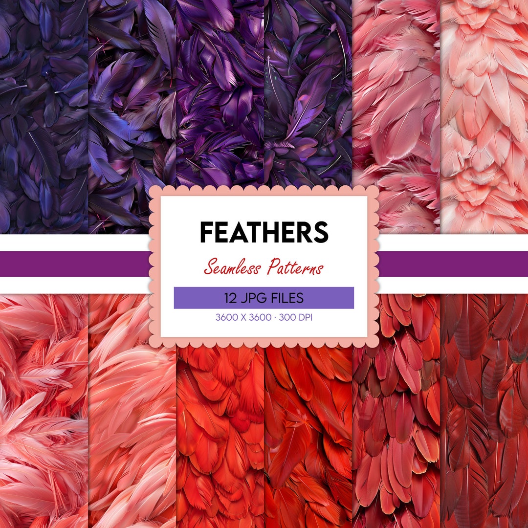 Colorful Feathers Digital Paper, Seamless Pattern (digital Download) - Etsy