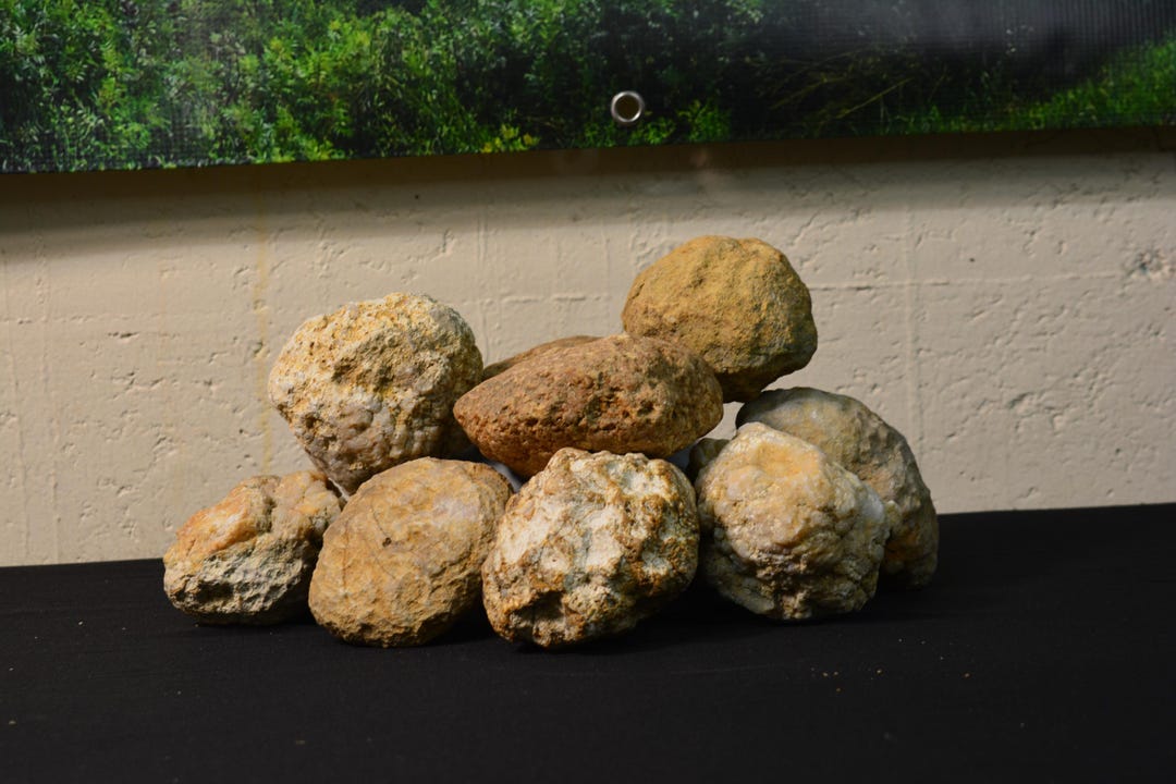 Impressive Geodes for Unique Mineral Collectors - Etsy