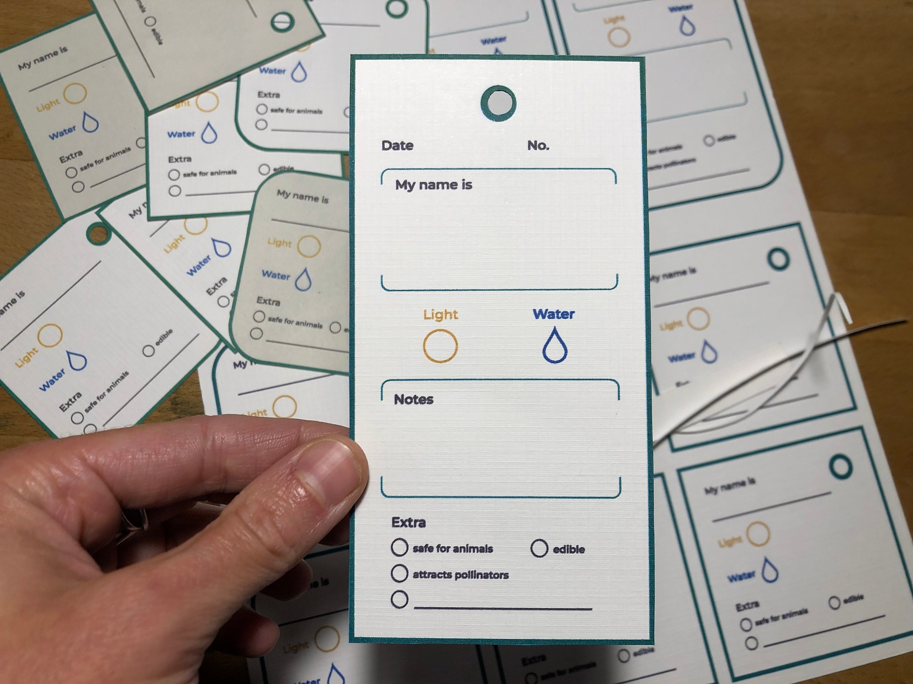 Big Plant Tags, Plant Labels, Printable Tags, Plant Information Cards ...