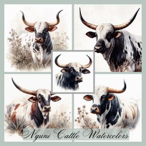 Nguni Cattle Watercolor Print | Digital Art | South African Printable ...