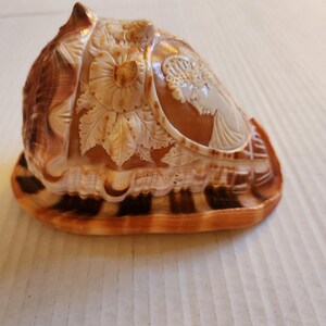 Vintage Signed Cameo Engraved Conch Shell - Etsy