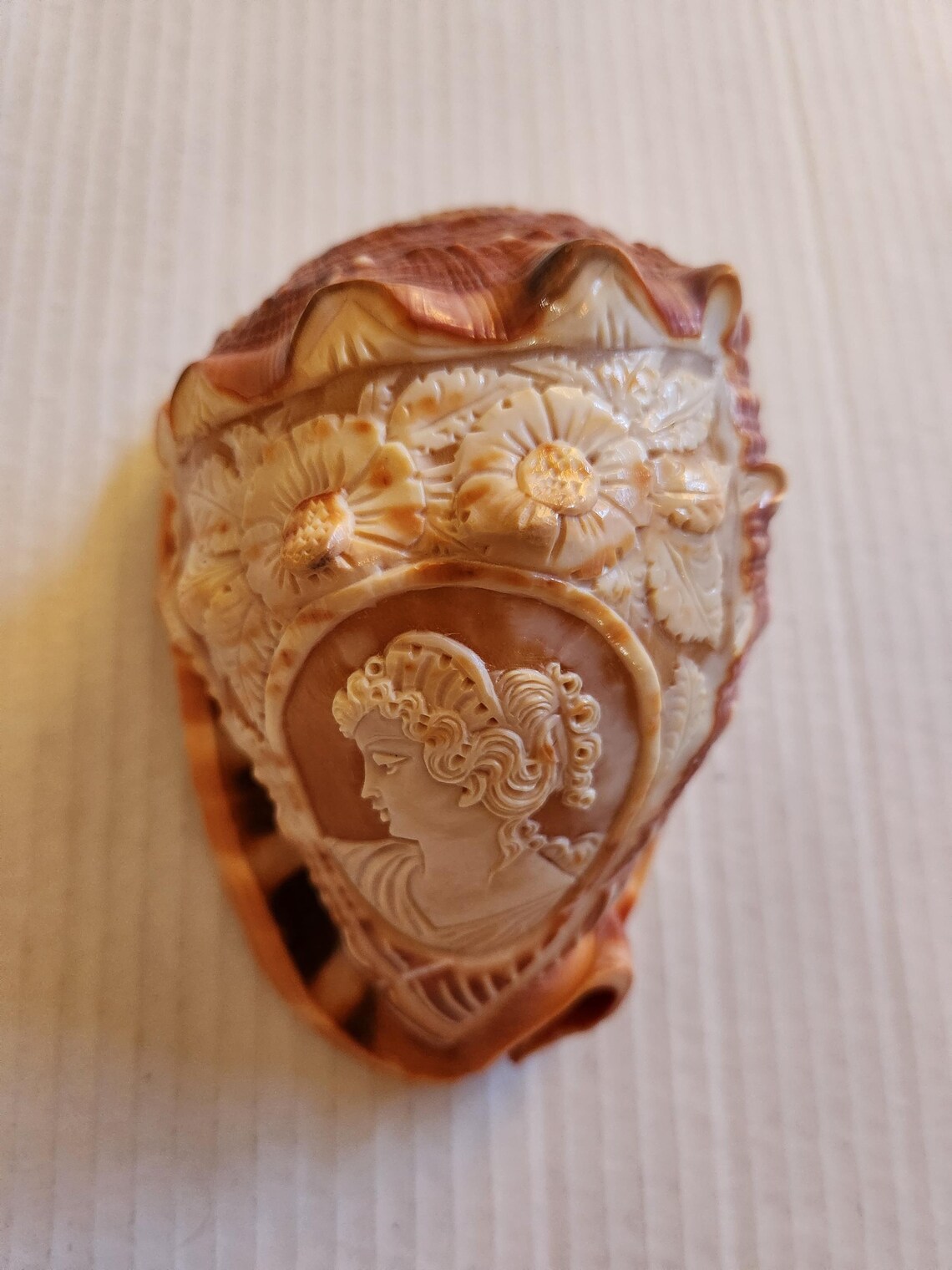 Vintage Signed Cameo Engraved Conch Shell - Etsy