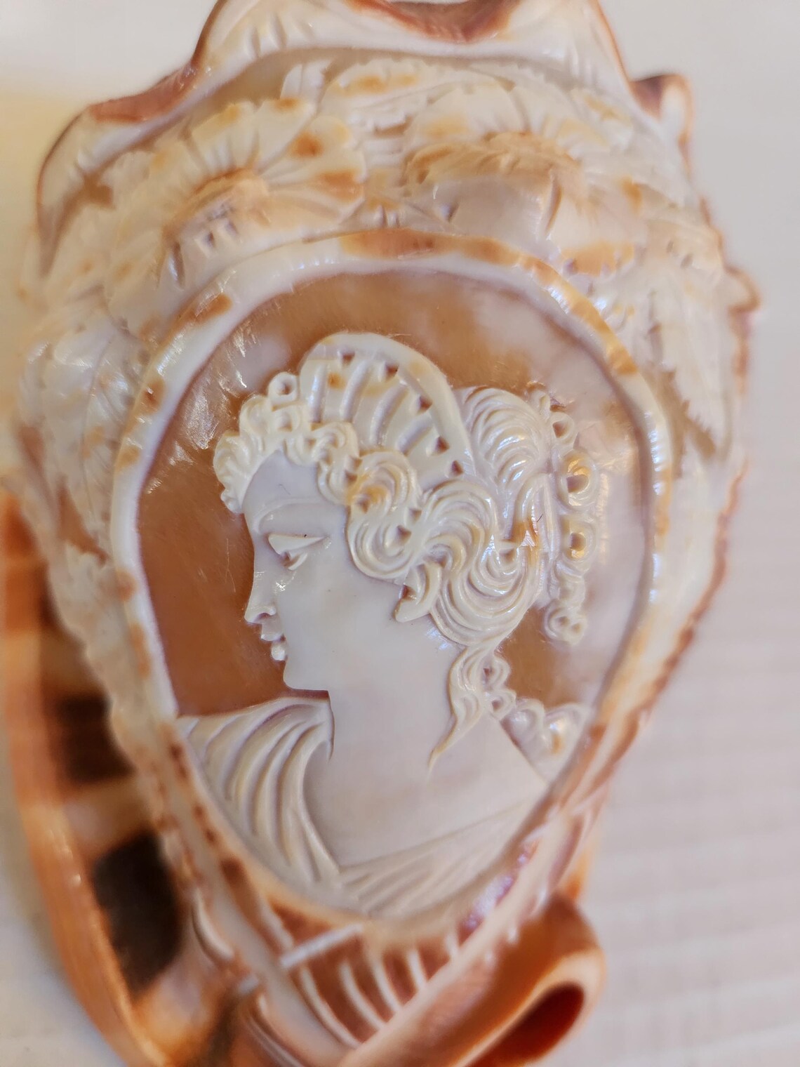 Vintage Signed Cameo Engraved Conch Shell - Etsy