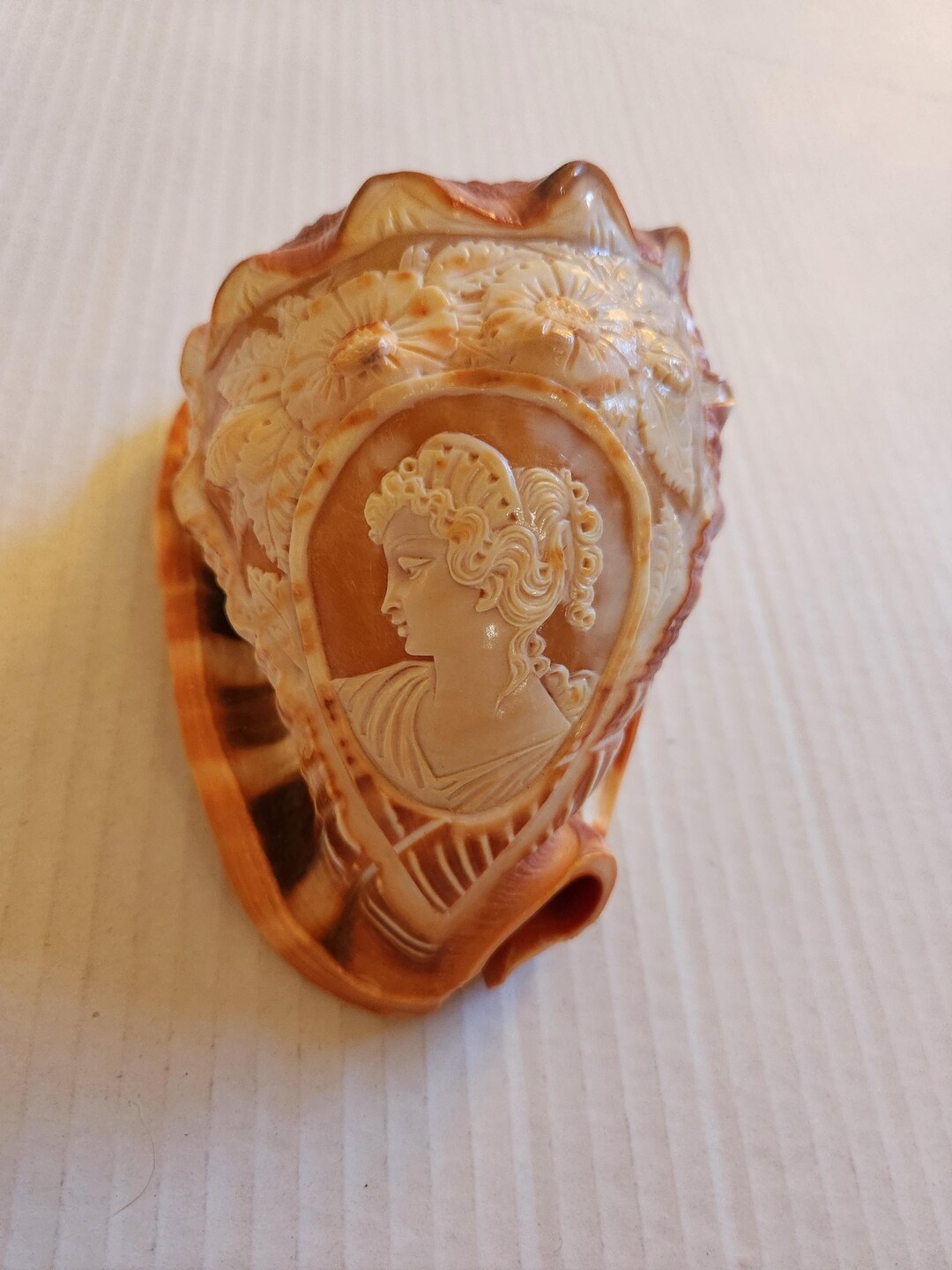 Vintage Signed Cameo Engraved Conch Shell - Etsy