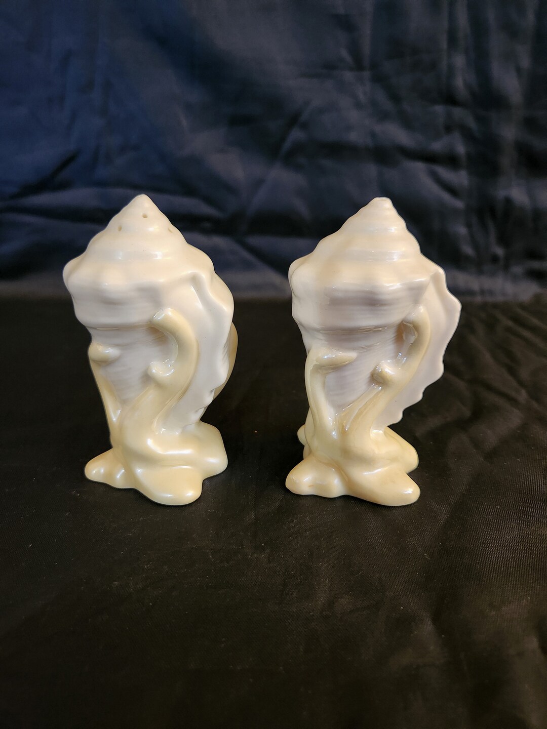 Bellevue Neptune Nautilus Shell Salt and Pepper Set - Etsy