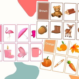 Printable Color Flashcards Montessori Flashcards Sorting - Etsy