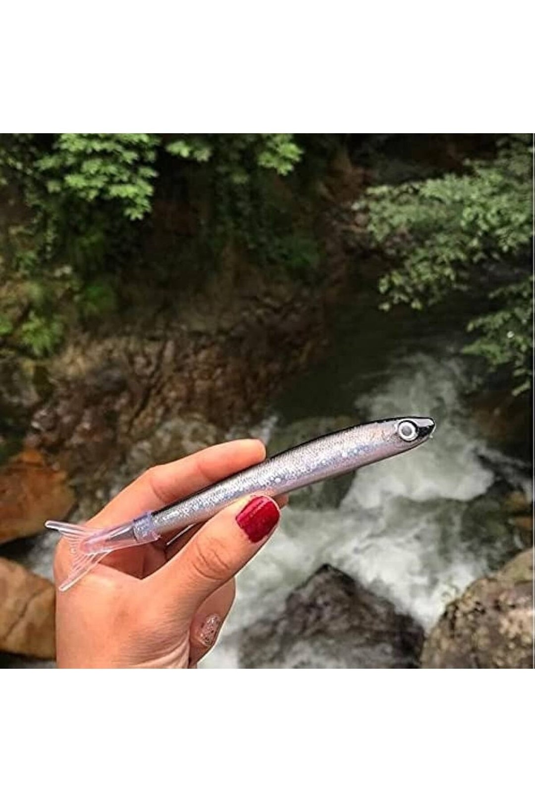 Realistic Anchovy Fish Unique Style Ballpoint Writing Pen - Etsy