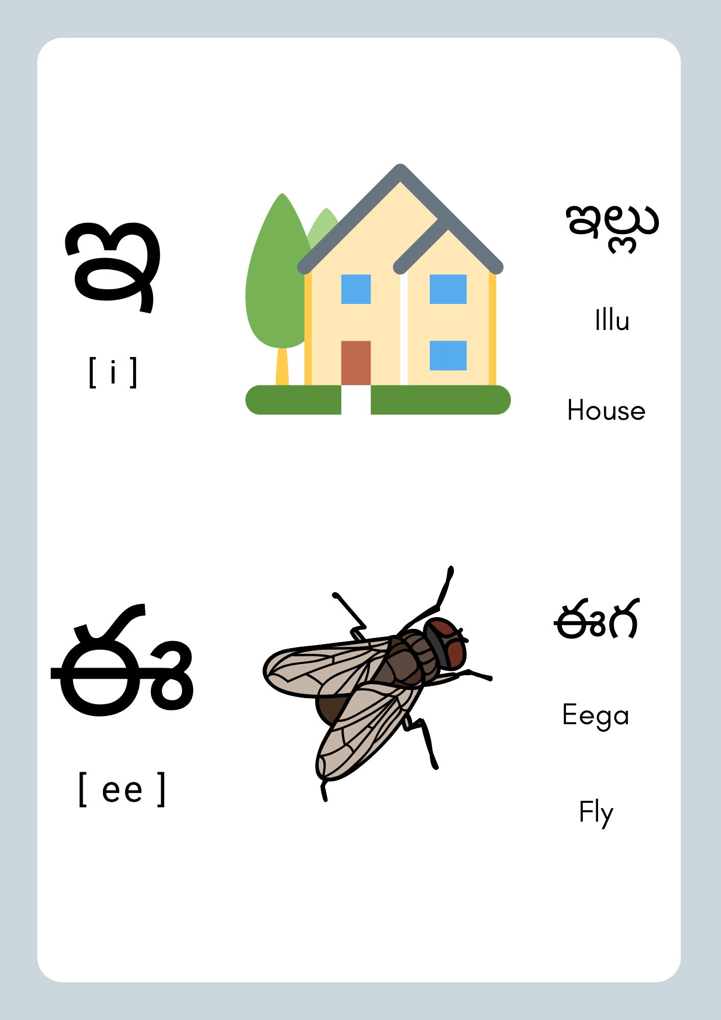 Telugu Learning Binder, Toddlers First Telugu Binder, Learning Binder ...