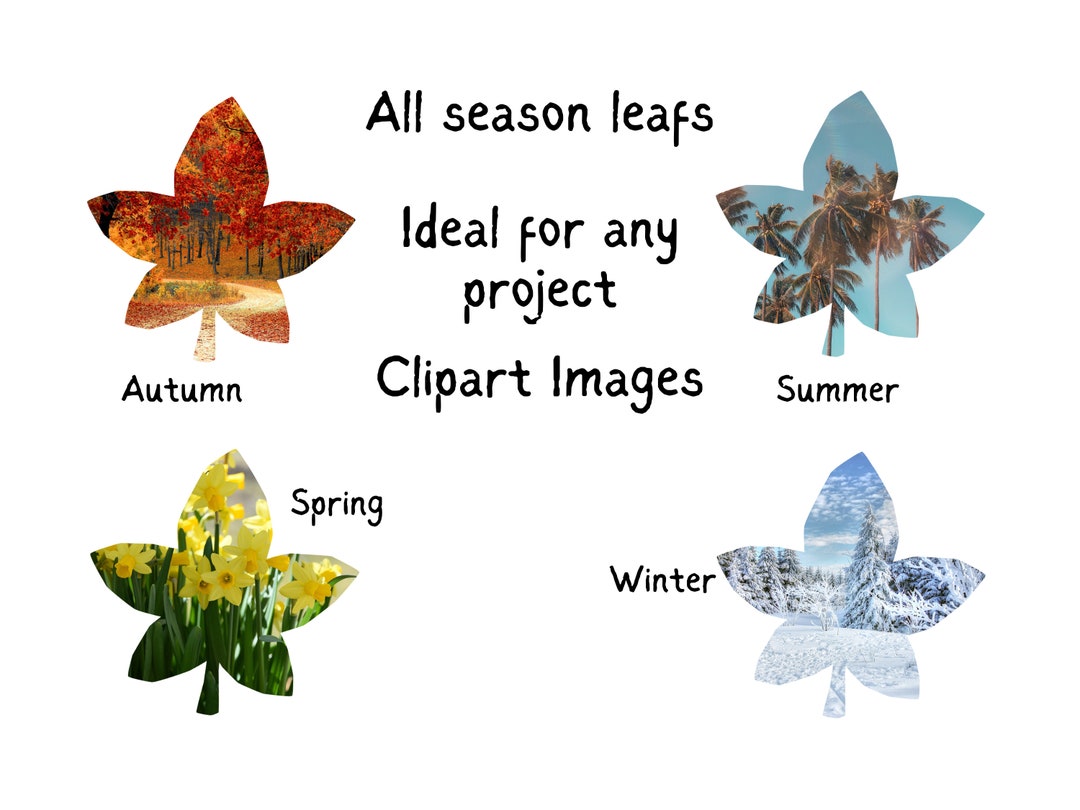 4 Season Leafs Clipart Instant Download SVG Transparent Printable 3 ...