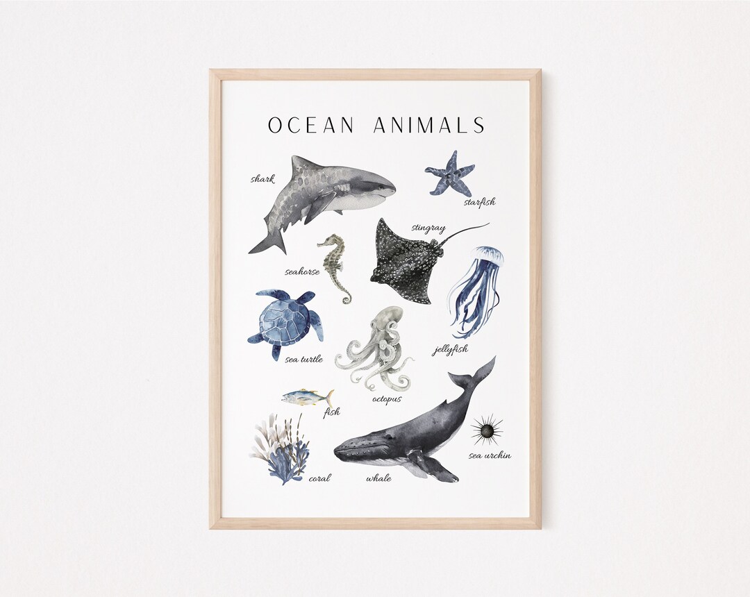 OCEAN ANIMALS POSTER, Montessori Poster, Montessori Educational ...