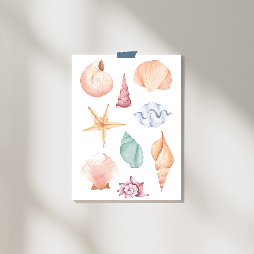 Sea Shell Collection Colourful Art Print Gallery Ocean Pastel Pink ...