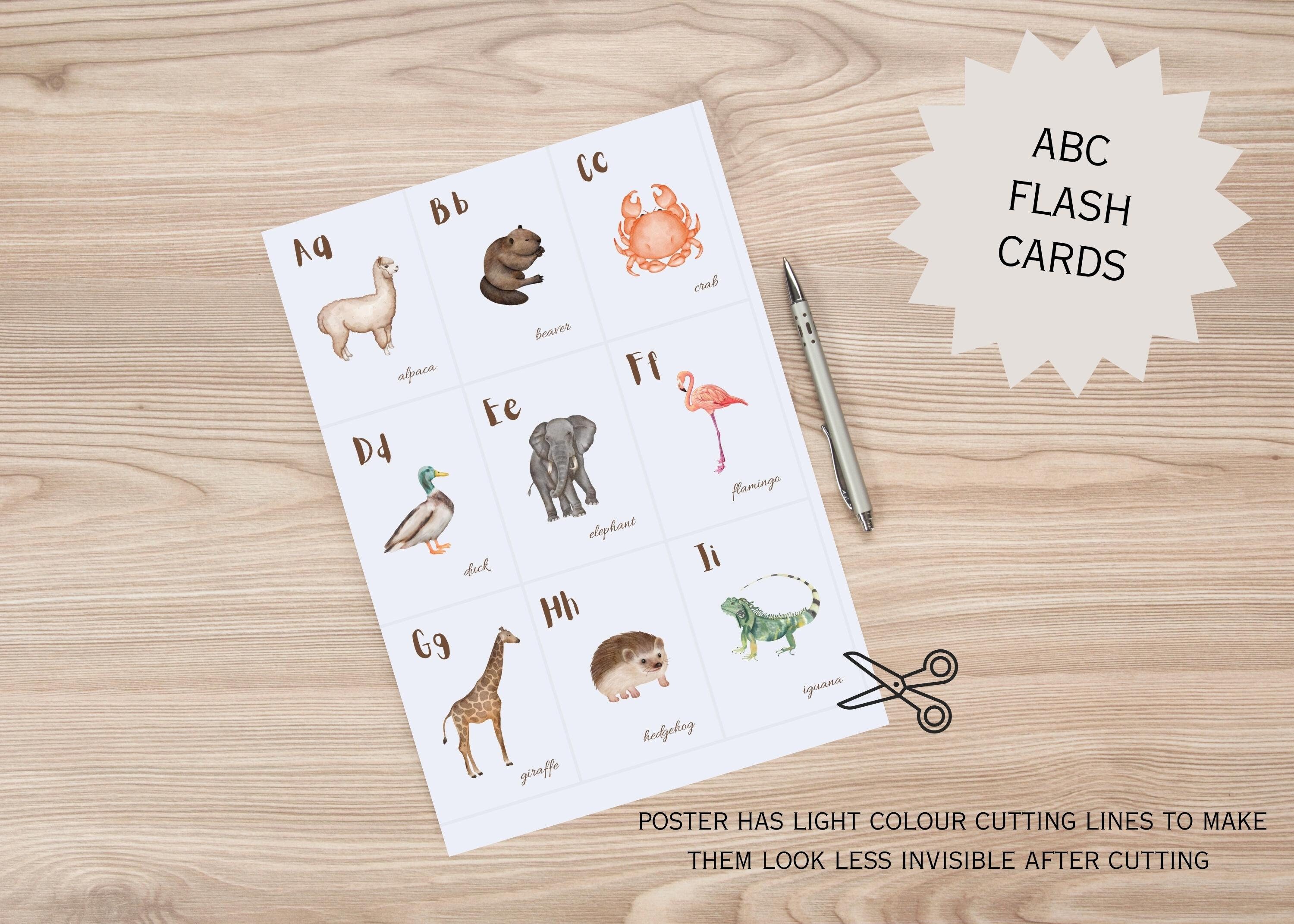 Animals Alphabet Flash Cards Montessori Flash Cards - Etsy