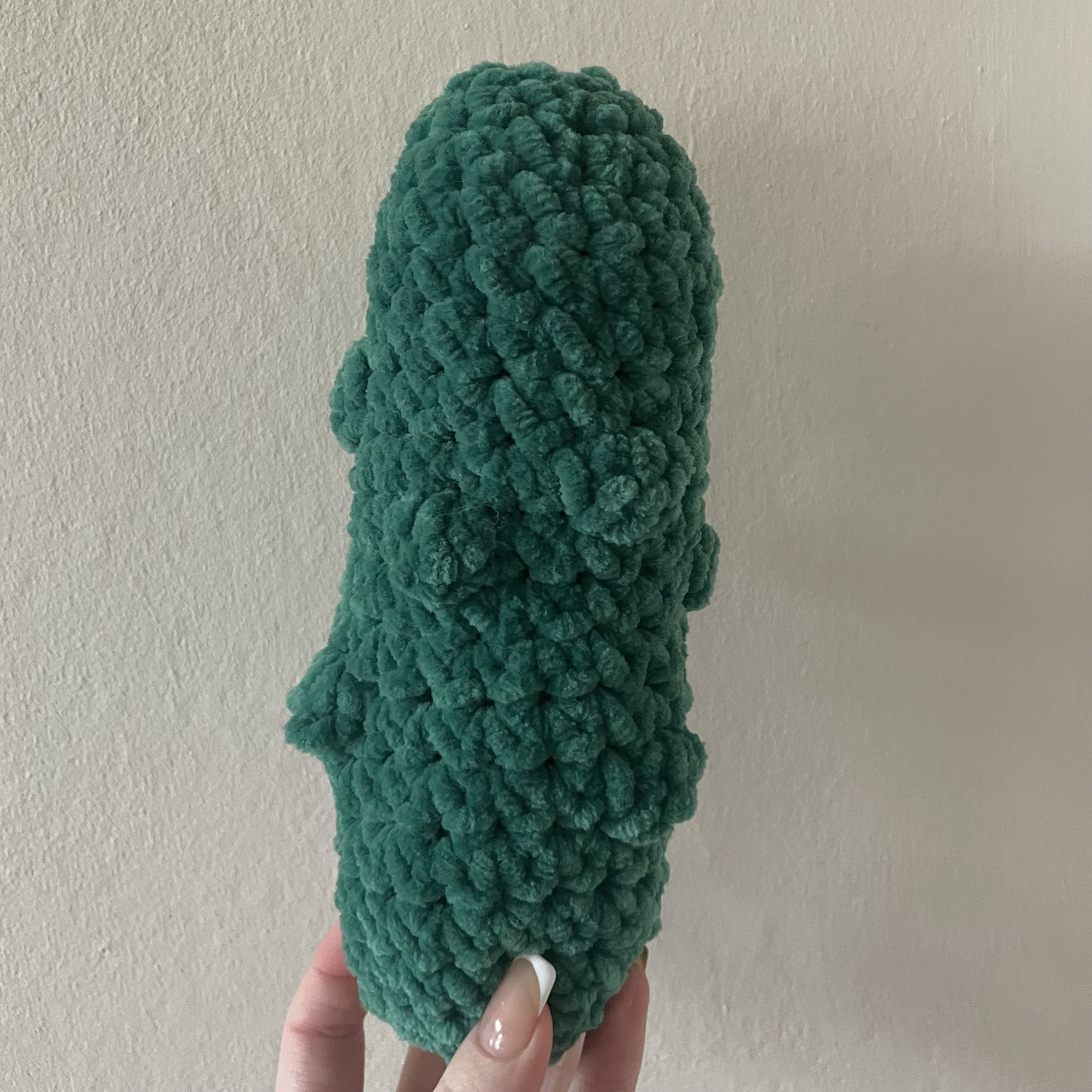 Crochet Pickle PDF Pattern - Etsy