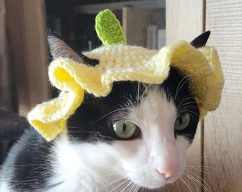Yellow Yellow Kitty Hat Cat Hat Lemon Yellow and Lime Green Wool Hand ...