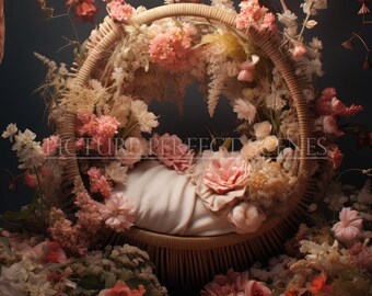 Newborn Digital Backdrop Balloon, Baby Digital Background, Newborn ...