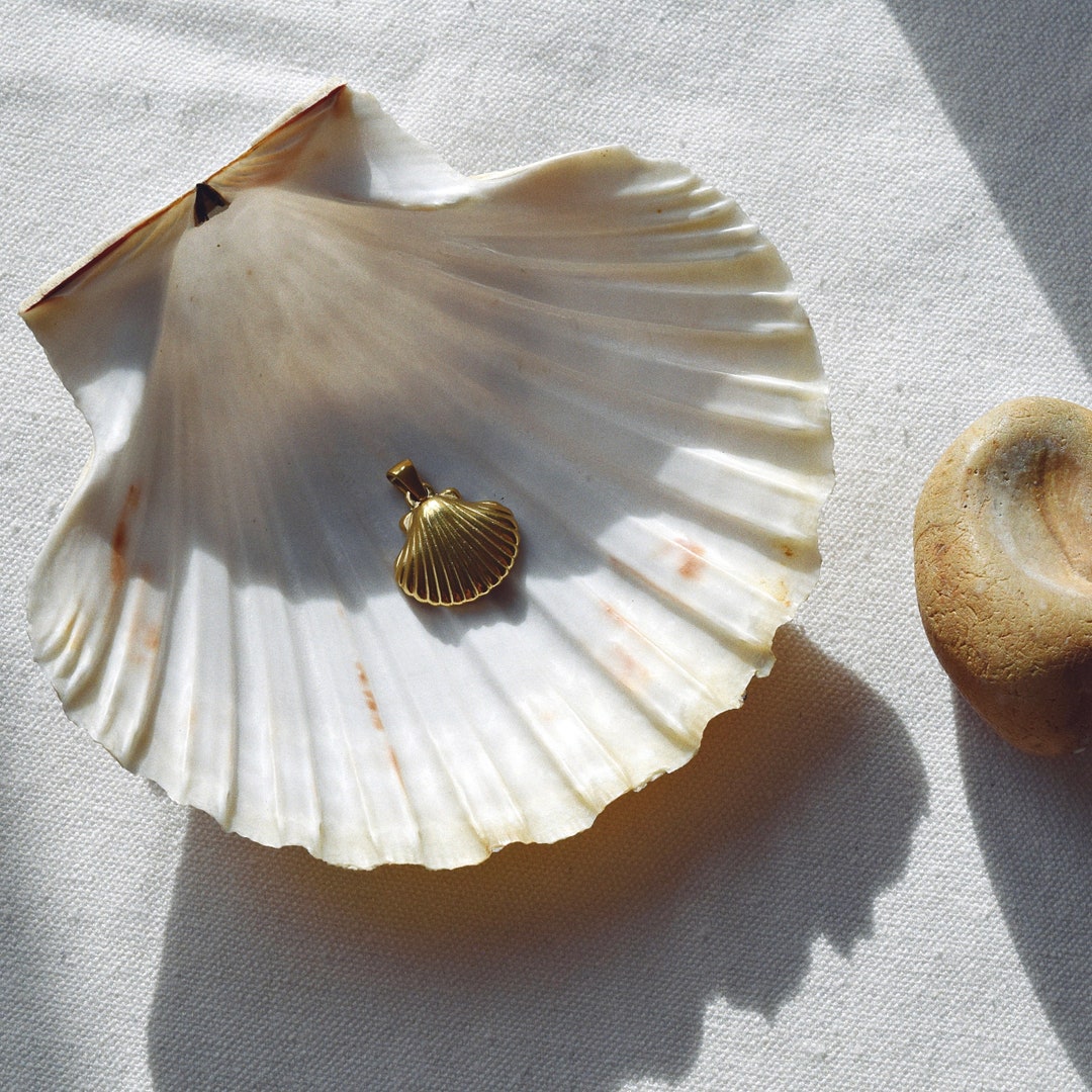 Seashell Gold Necklace Gift for Her Seashell Pendant Shell Clam Charm ...