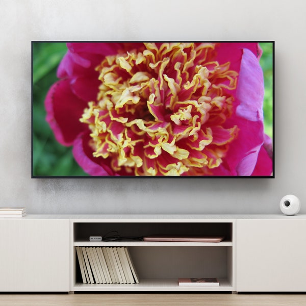 Peony Photography - Etsy