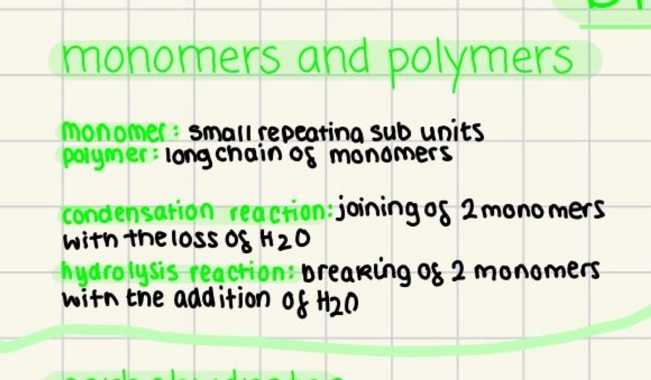 AQA A Level Biology Unit 1 Summary Notes - Etsy