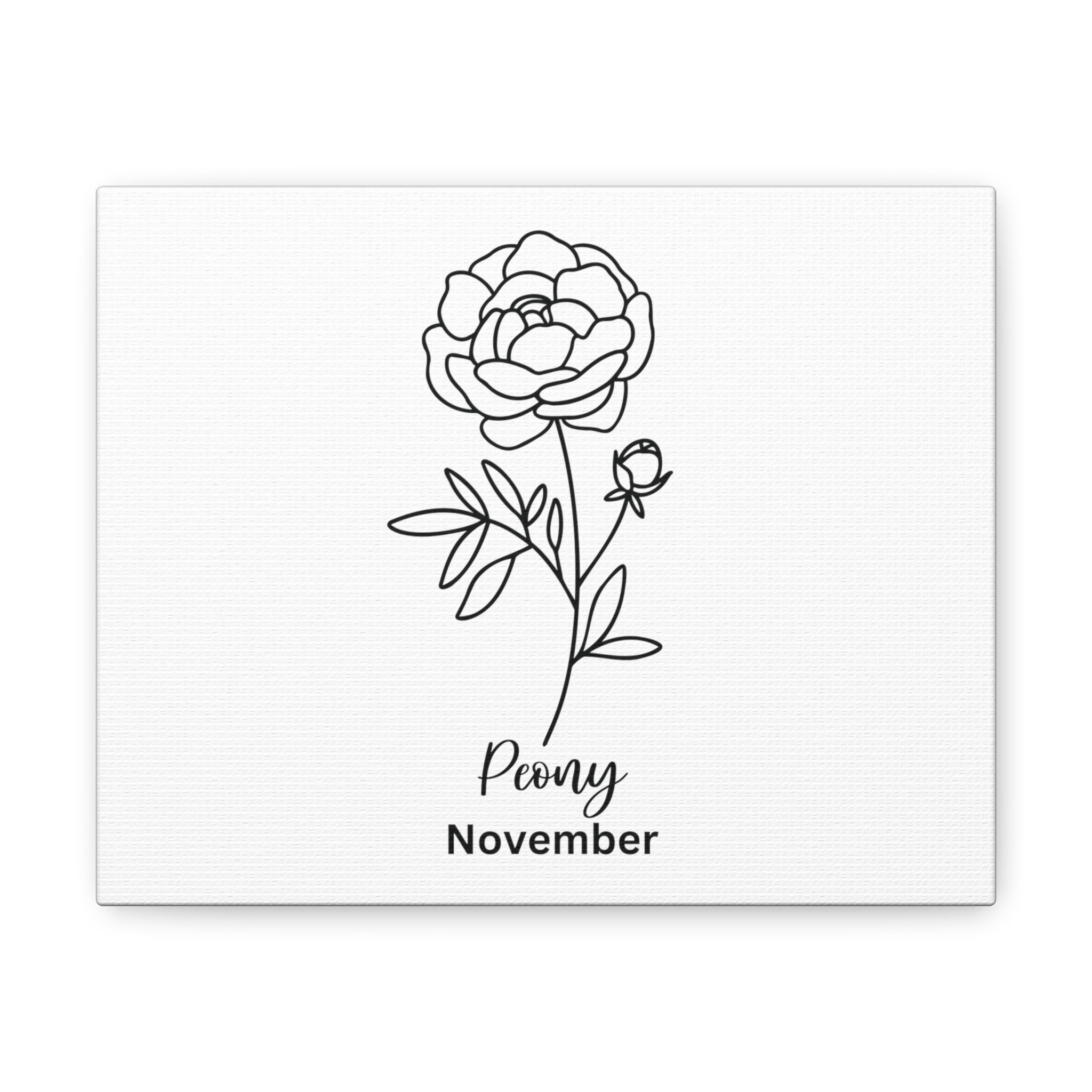 8x10 Birth Month Flower Wall Art, November Peony Flower Canvas Wall ...