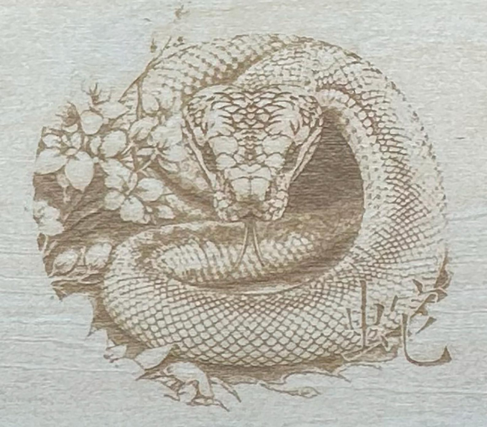 Chinese Zodiac, Year of the Snake, Digital Image Files for Laser ...