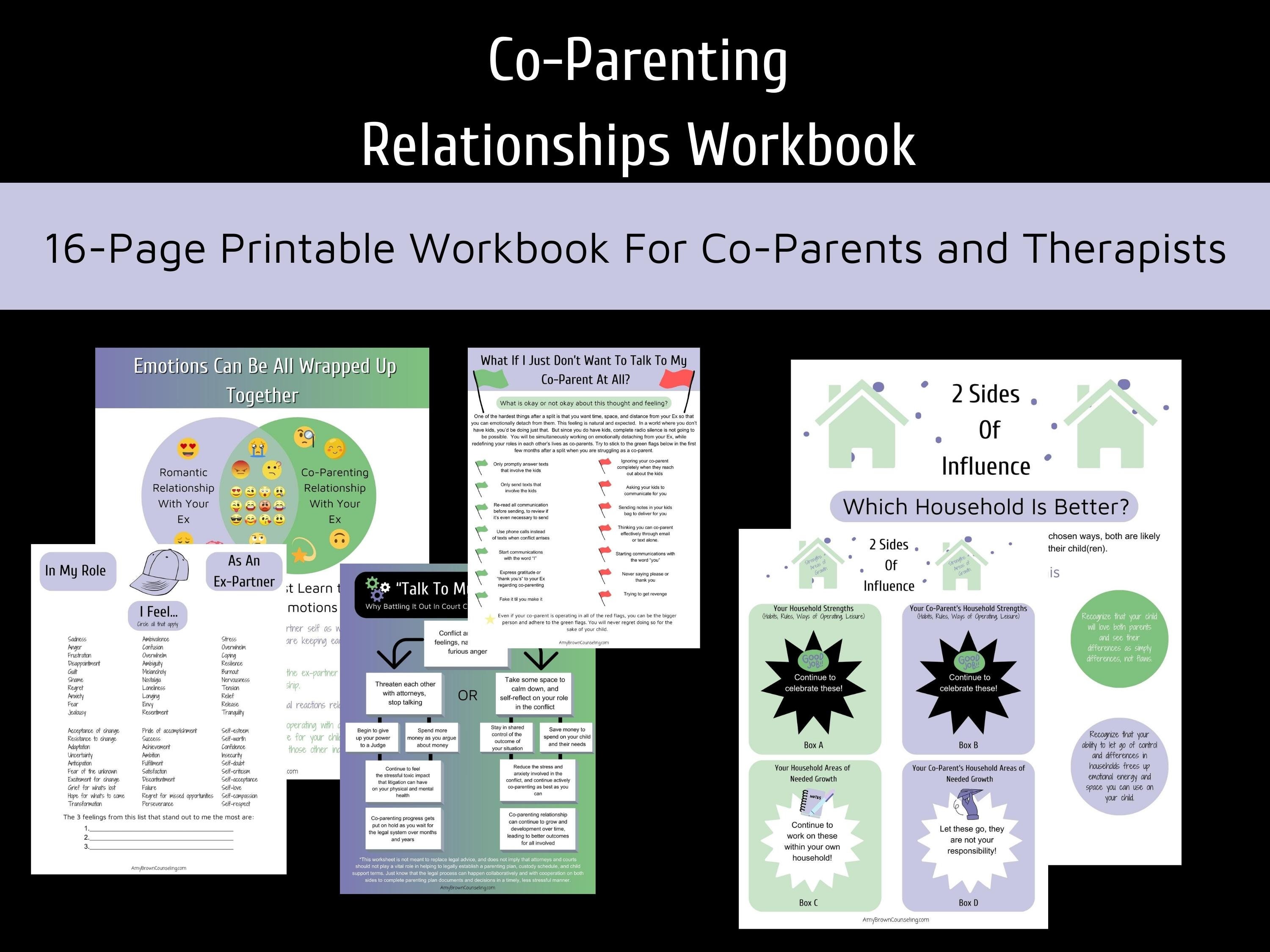 Co-parenting Relationships Workbook: Improving Relationships After ...