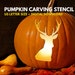 Deer Buck Pumpkin Carving Stencil PRINTABLE | Halloween Pumpkin Carving ...